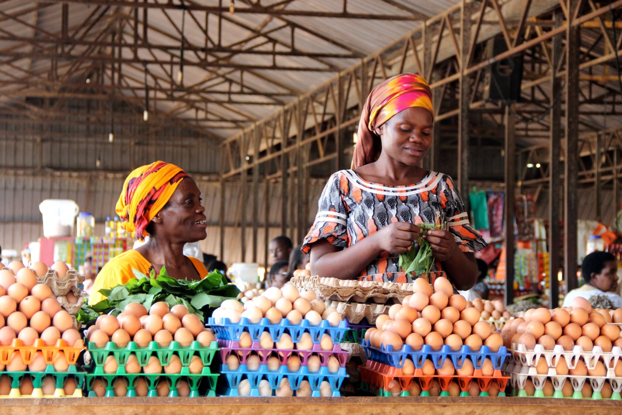 AfDB's $61 Million Package Targets Nigeria's Stubborn Gender Financing ...